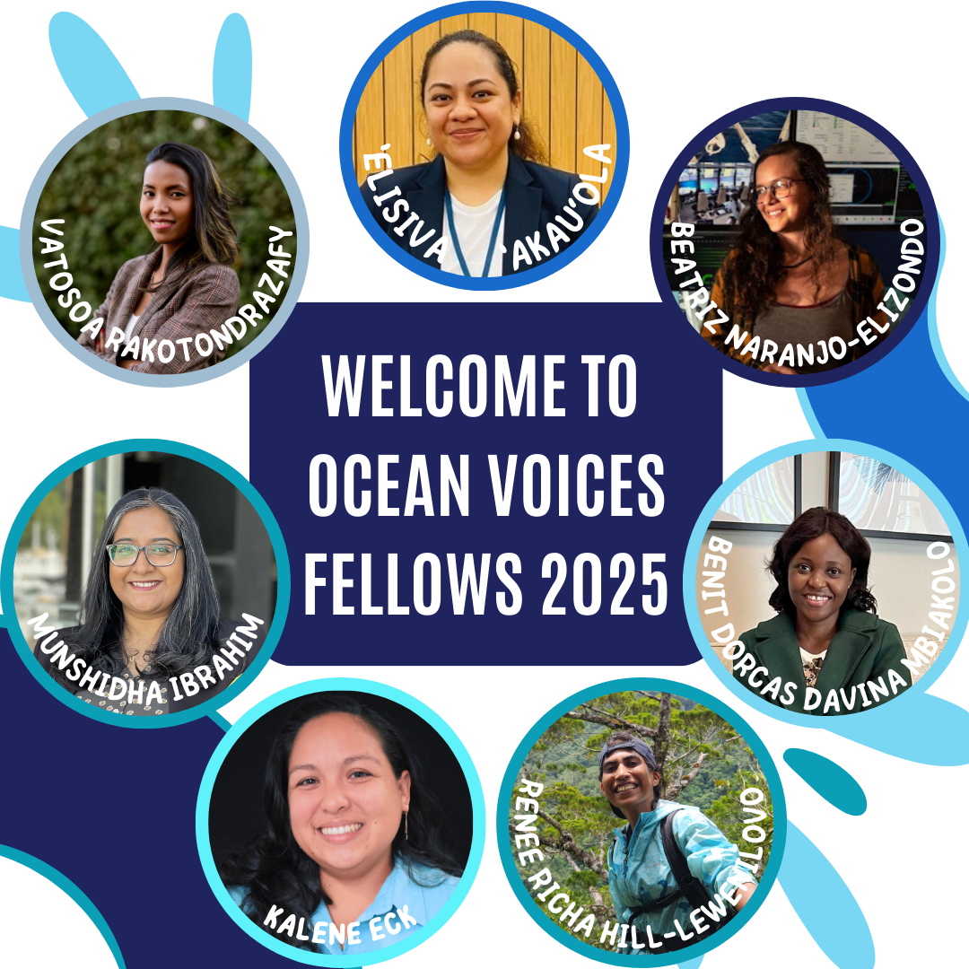 Welcoming New Fellows to the Ocean Voices Fellowship Programme | Ocean ...